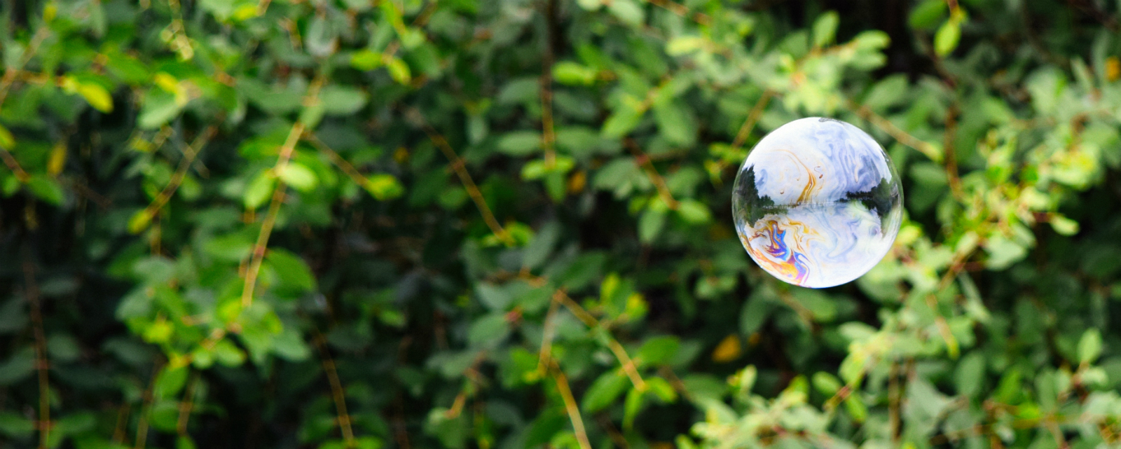 Schritt für Schritt aus der Filterblase – Wissenschaftskommunikation.de