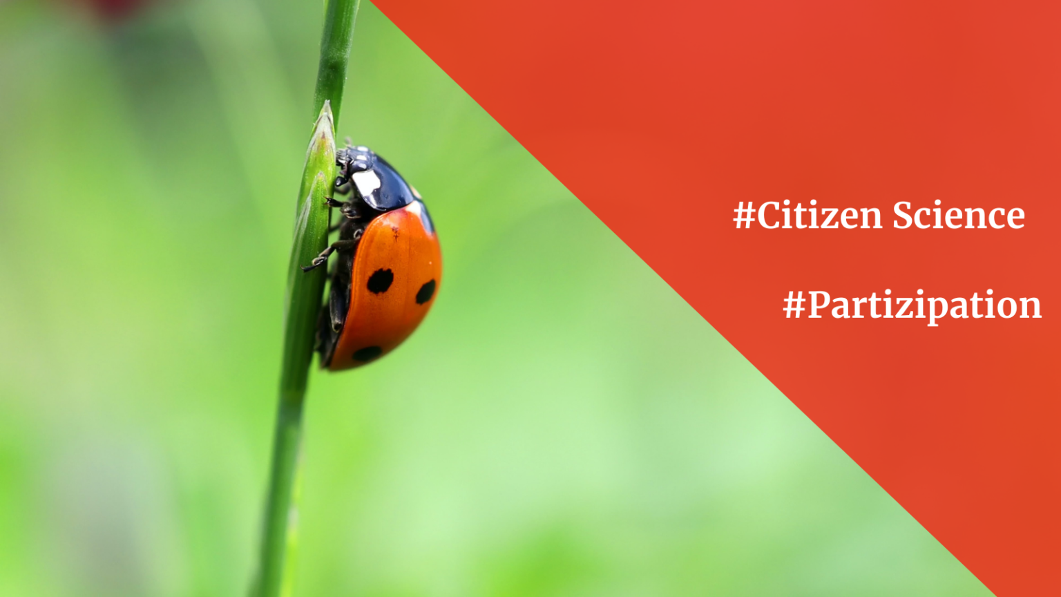 Citizen Science für alle – eine Handreichung für Citizen Science ...